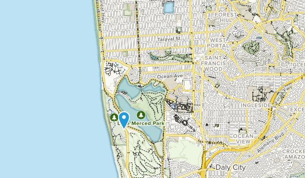 Best Trails in Sigmund Stern Recreation Grove - California | AllTrails