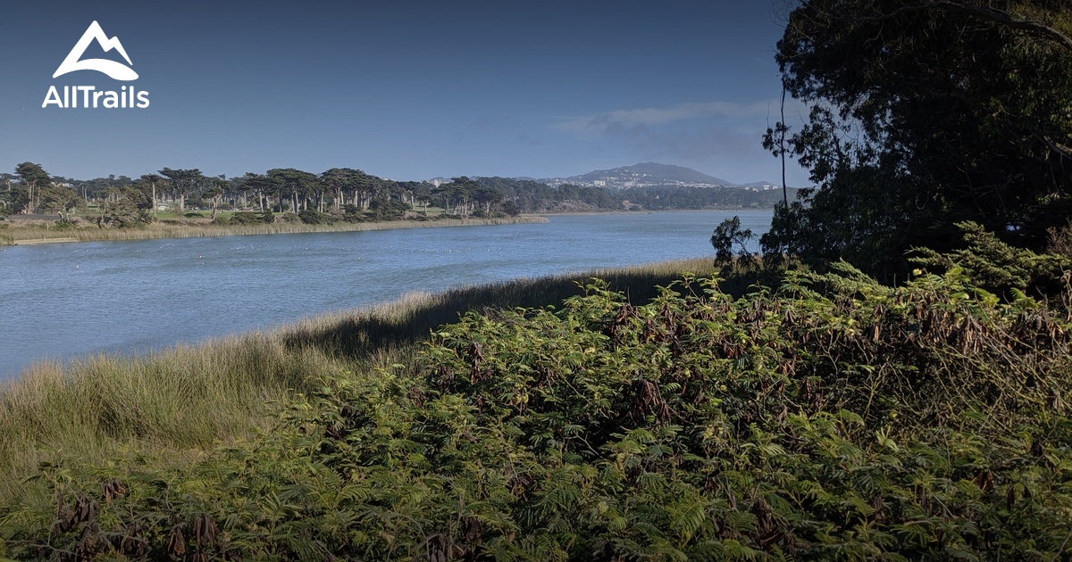 Best hikes and trails in Sigmund Stern Recreation Grove | AllTrails