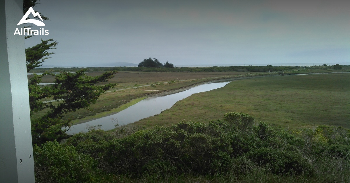 Best Trails in Doran Regional Park - California | AllTrails