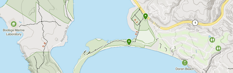 Best trails in Doran Regional Park, California | AllTrails