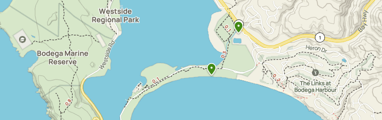 Best Hikes and Trails in Doran Regional Park | AllTrails