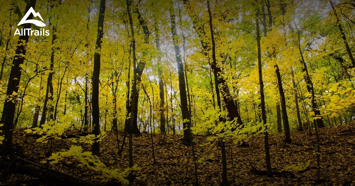 Best horseback riding trails in Highland State Recreation Area | AllTrails