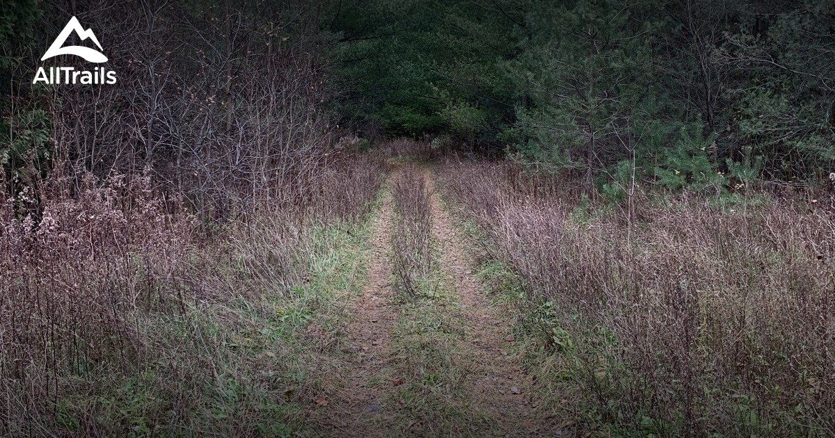 Best hikes and trails in Beverly Swamp Conservation Area | AllTrails