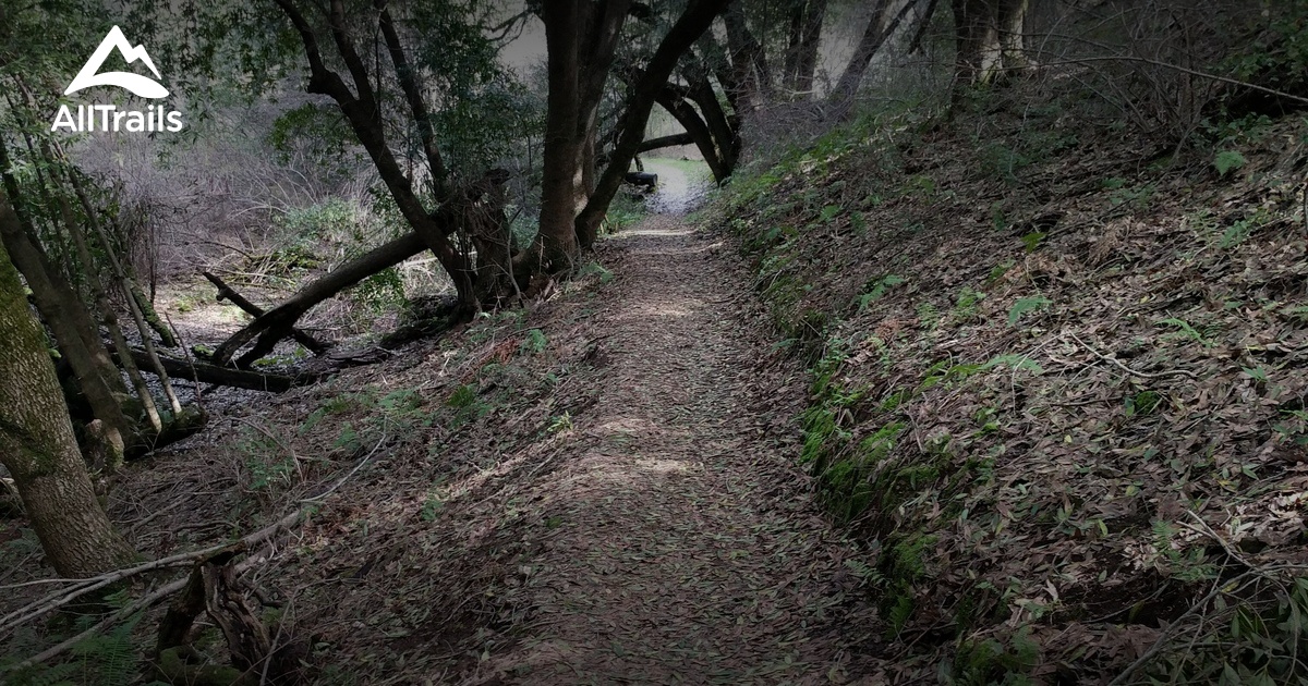 Best hikes and trails in Los Trancos Open Space Preserve | AllTrails