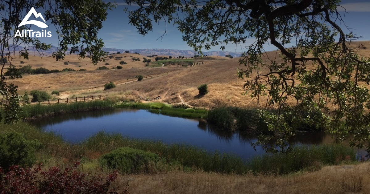 Best Trails in Calero County Park - California | AllTrails
