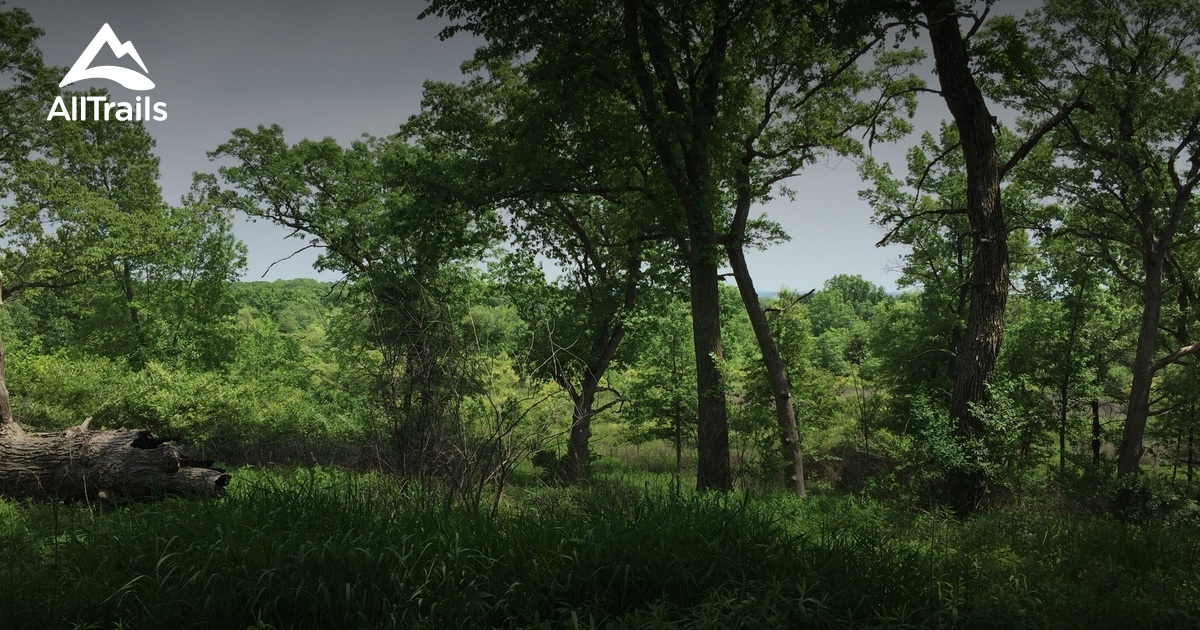 Best hikes and trails in High Point Conservation Area | AllTrails
