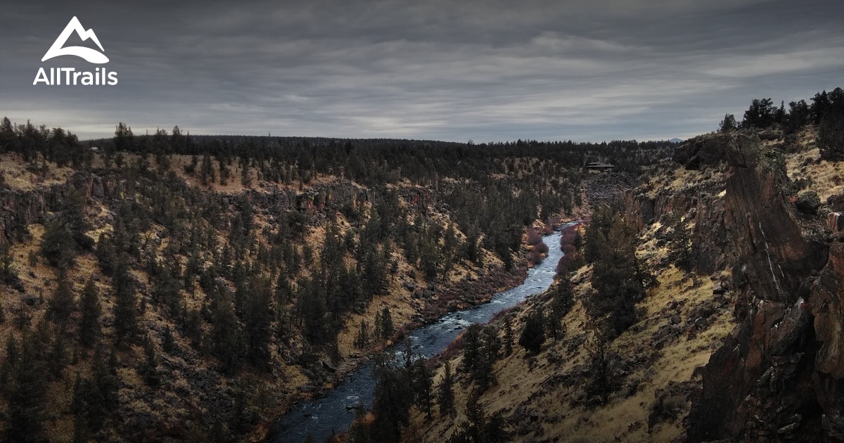 Best forest trails in Maston | AllTrails