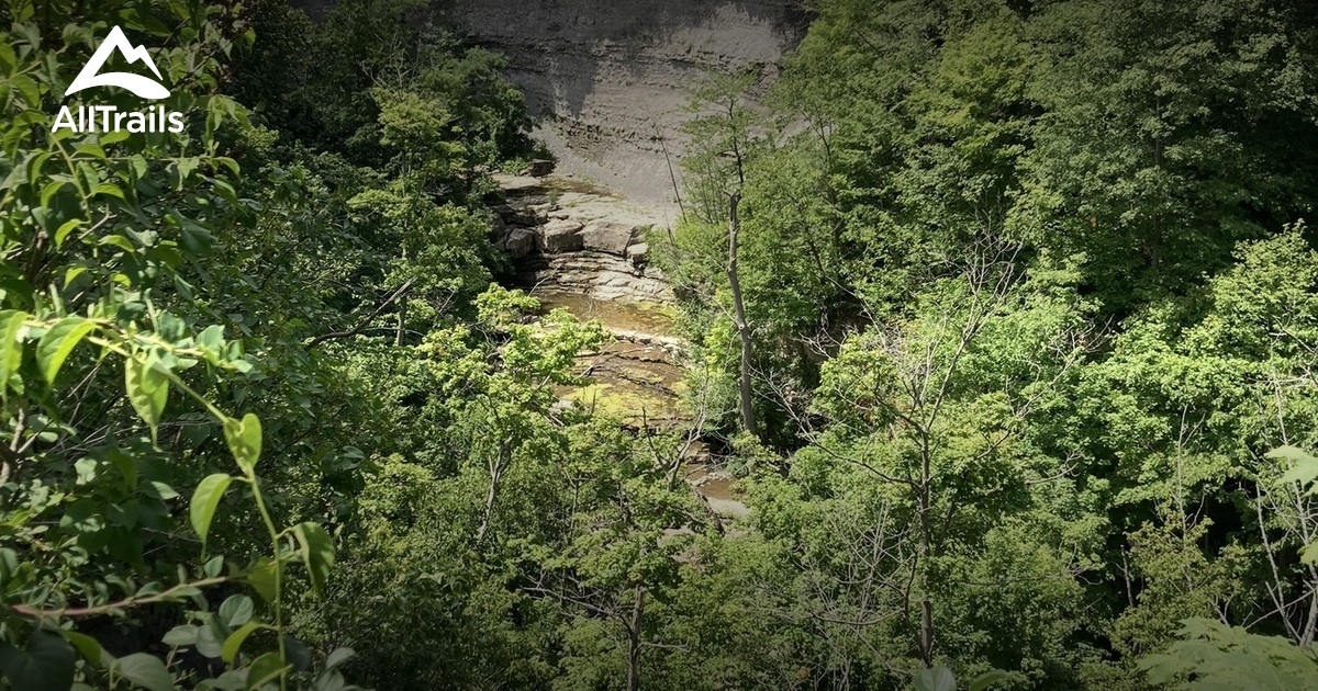 Best hikes and trails in Rockway Conservation Area | AllTrails