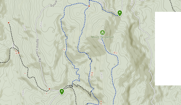 Best Trails in Toolangi State Forest - Victoria, Australia | AllTrails
