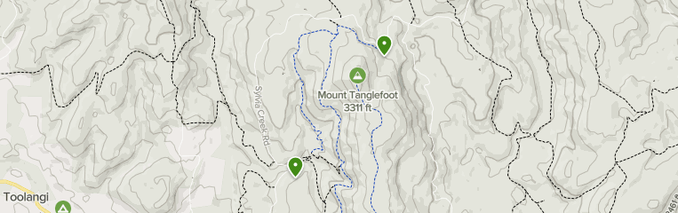 Best Trails in Toolangi State Forest - Victoria, Australia | AllTrails
