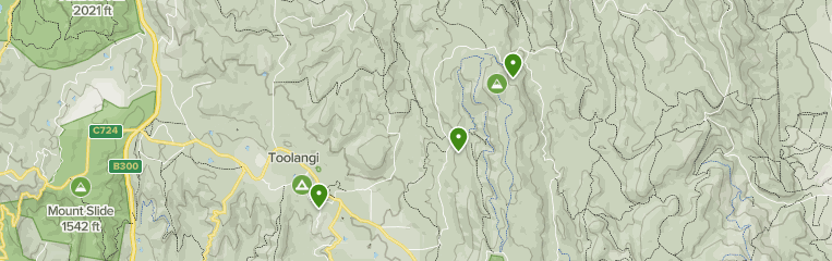 Best trails in Toolangi State Forest, Victoria, Australia | AllTrails