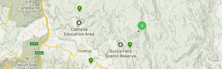 Best Hikes and Trails in Toolangi State Forest | AllTrails