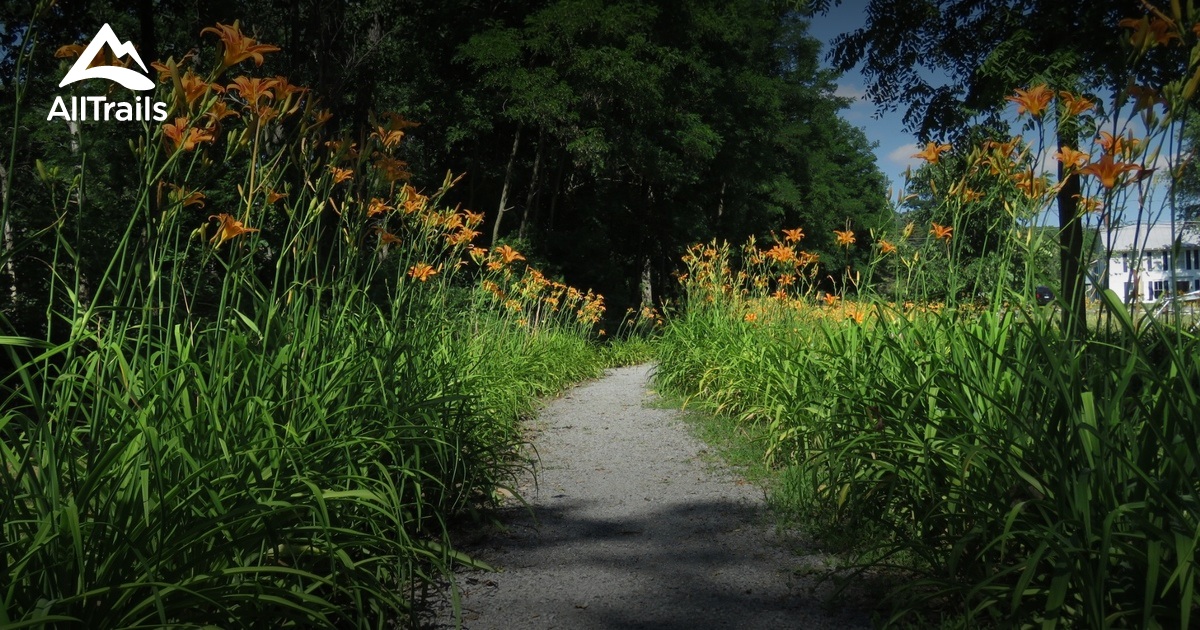 Best hikes and trails in Lilly Park | AllTrails