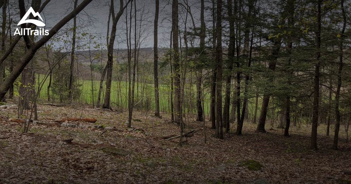 Best hikes and trails in Town of Canton Property | AllTrails