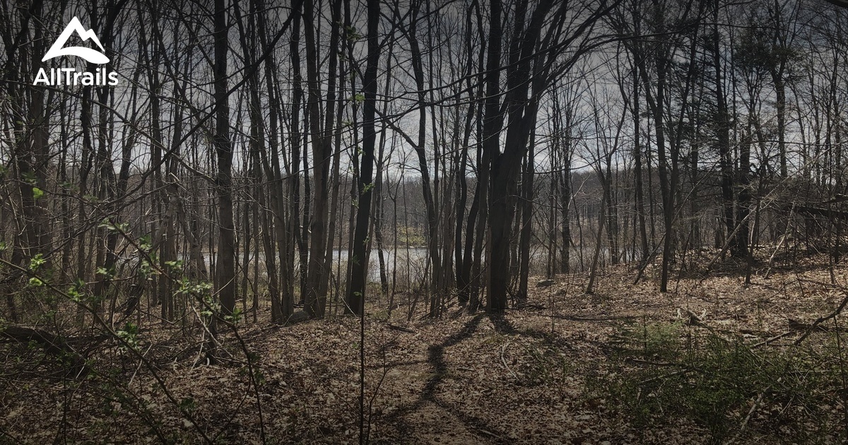 Best hikes and trails in Weldon Brook Wildlife Management Area | AllTrails