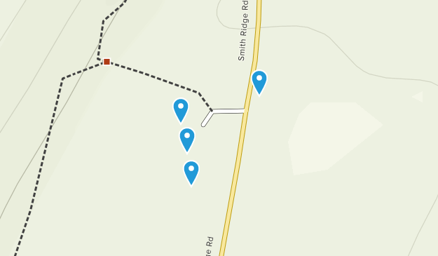 Best Trails in Leon Levy Preserve - New York | AllTrails