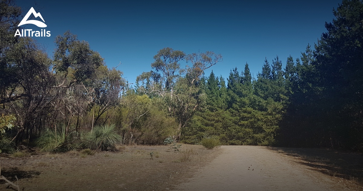 Best Trails in Mount Crawford Forest Reserve - South Australia ...