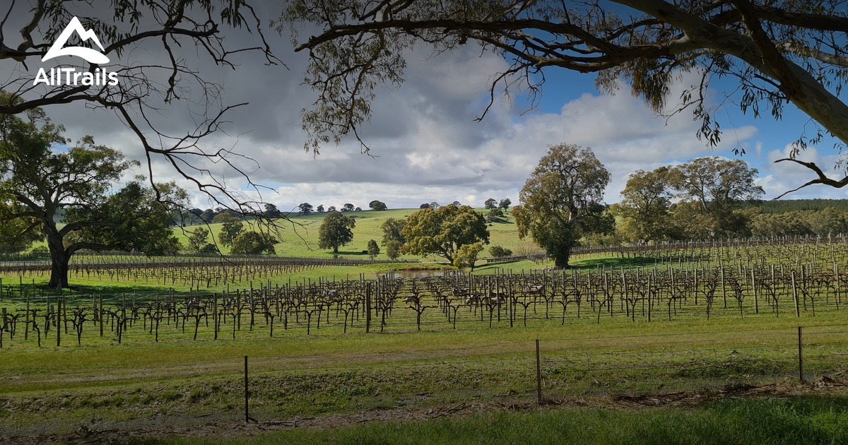 10 Best hikes and trails in Mount Crawford Forest Reserve | AllTrails