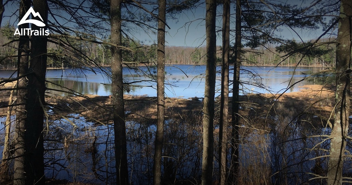 Best hikes and trails in Estabrook Woods | AllTrails