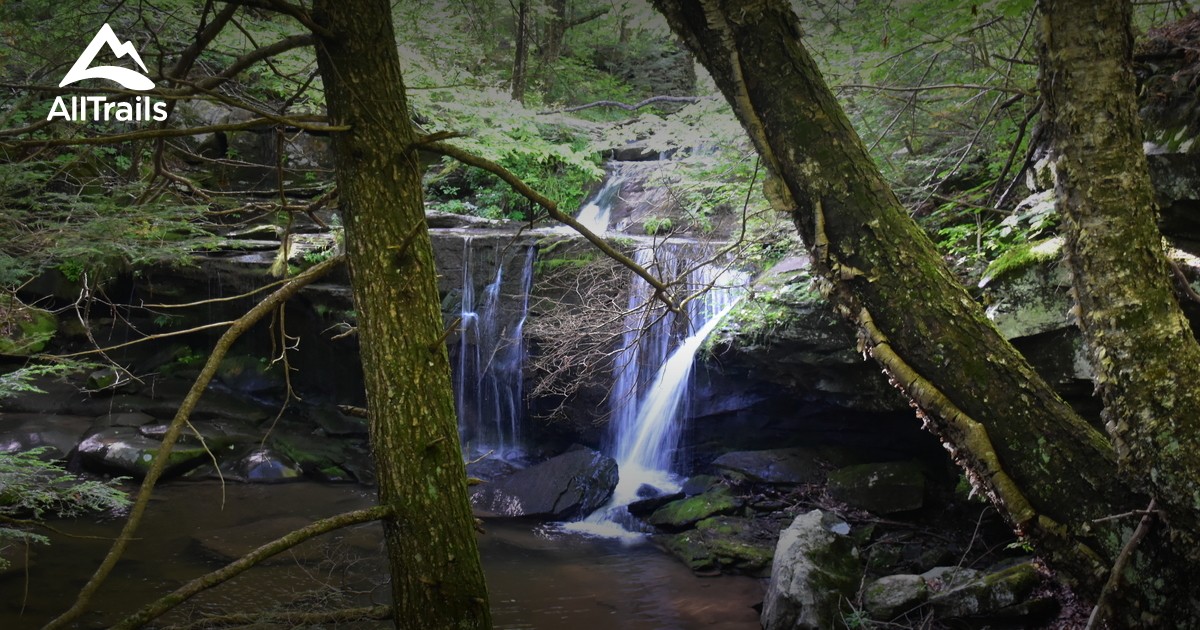 Best trails in Platte Clove Preserve, New York | AllTrails