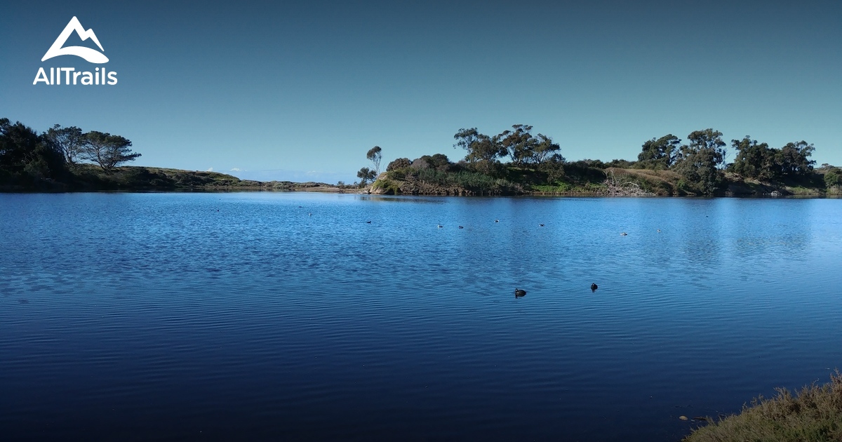 Goleta Beach County Park: Die besten Routen zum Wandern | AllTrails