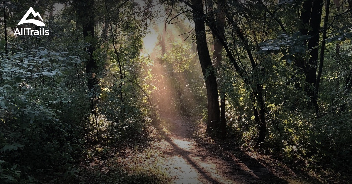 Best hikes and trails in Rockport Park | AllTrails