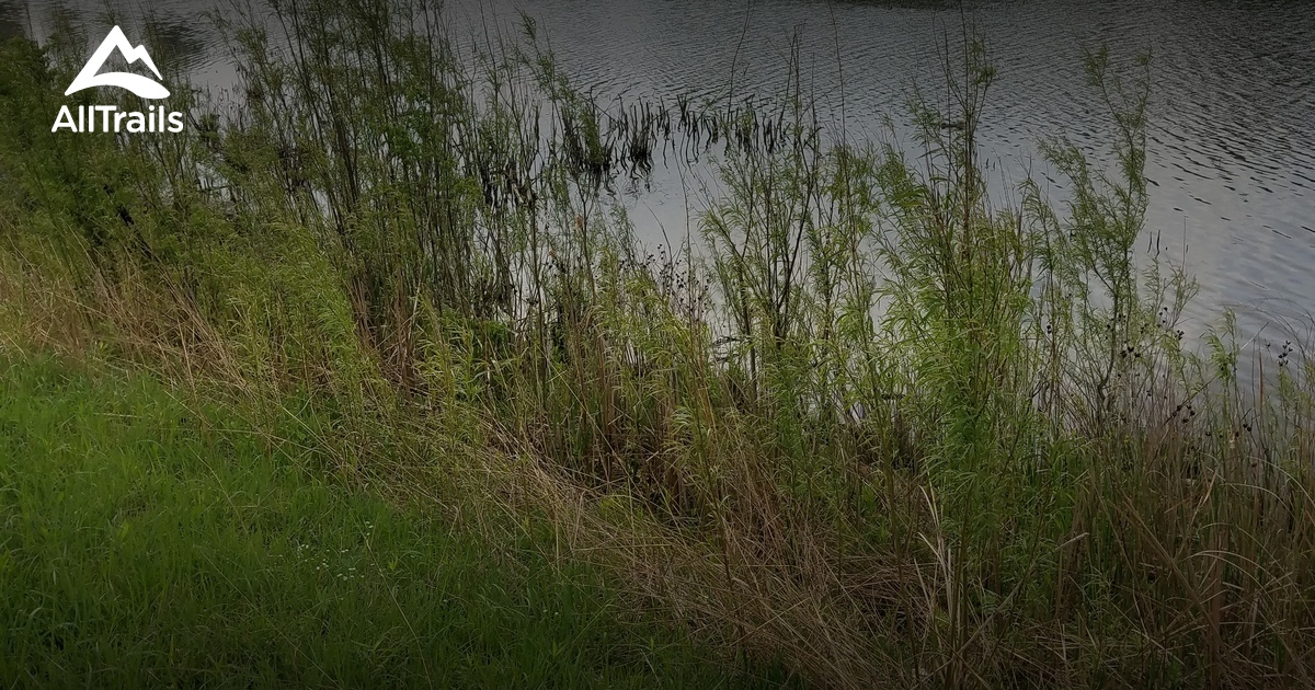Best hikes and trails in Pogues Run Art and Nature Center | AllTrails