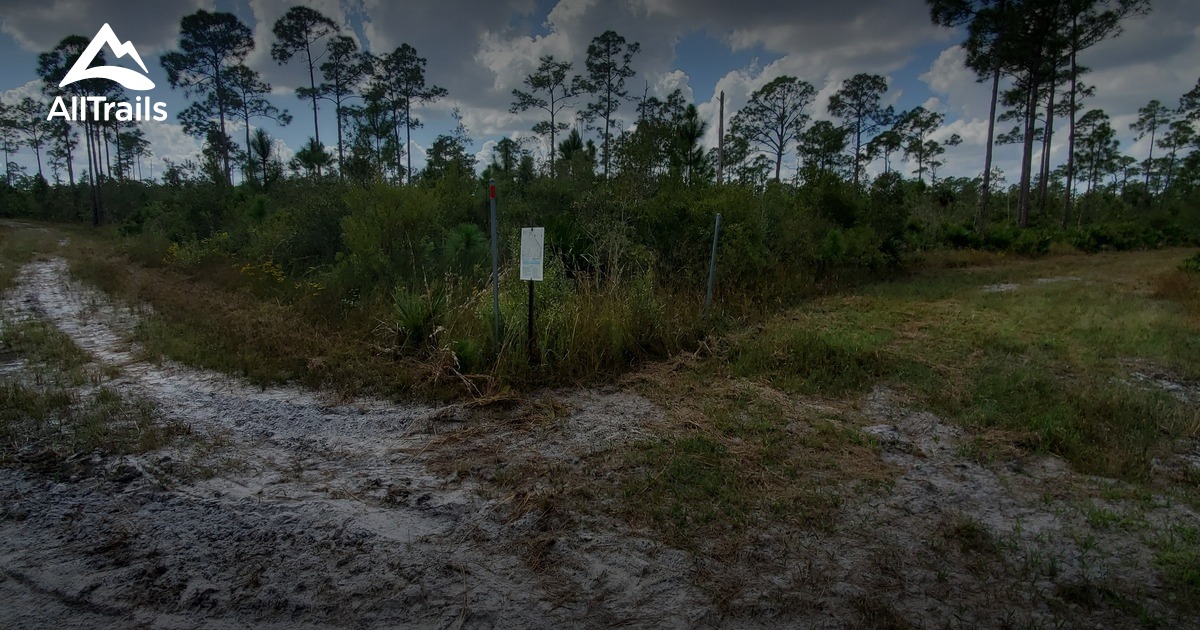 Best hikes and trails in Prairie Pines Preserve | AllTrails