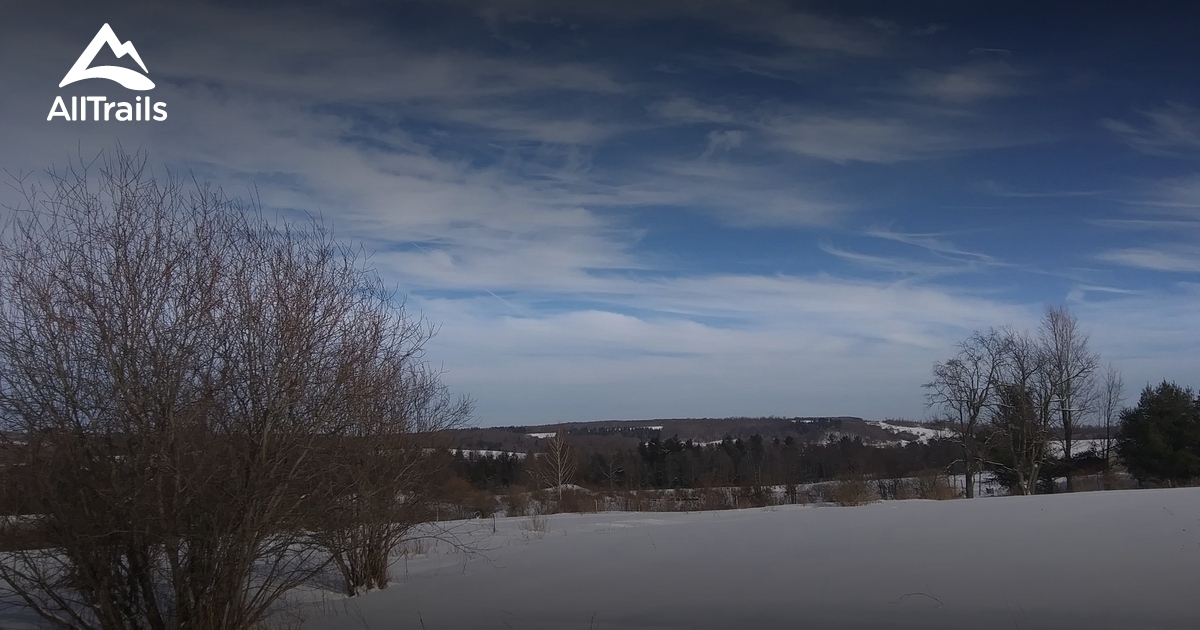 Best hikes and trails in Nelson Swamp Unique Area | AllTrails