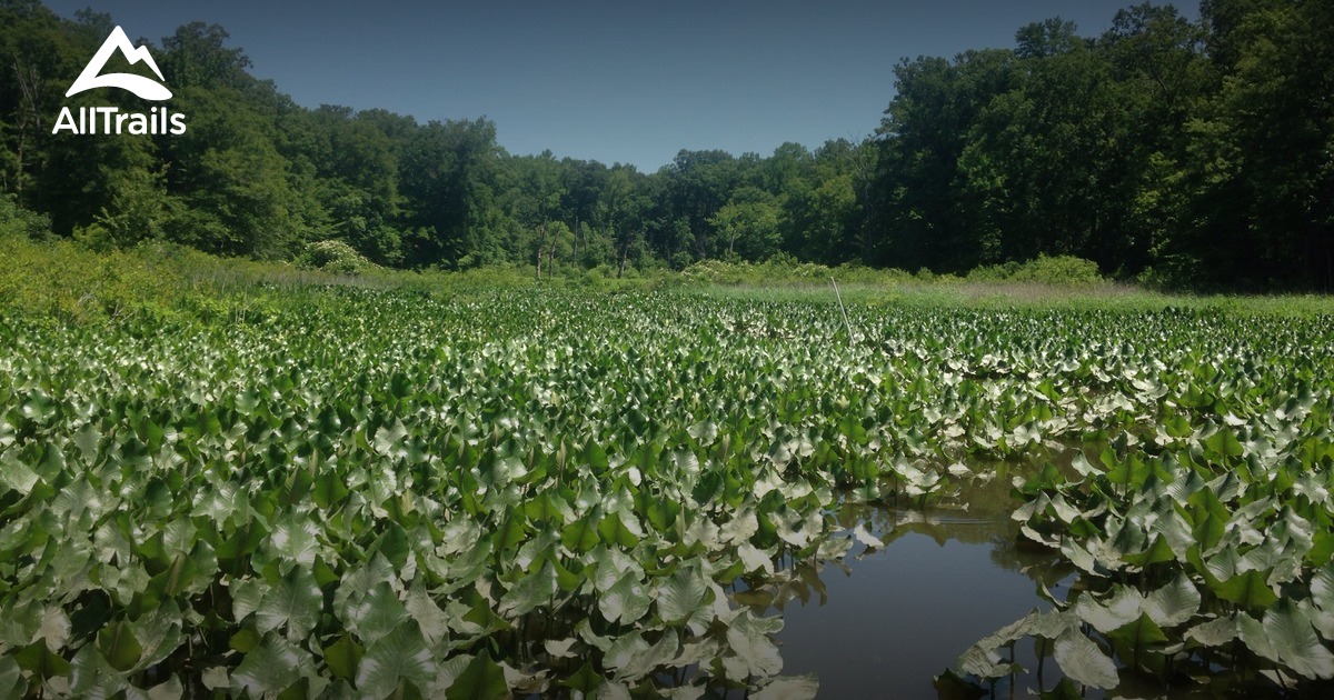 Best Trails in Jug Bay Wetlands Sanctuary - Maryland | AllTrails