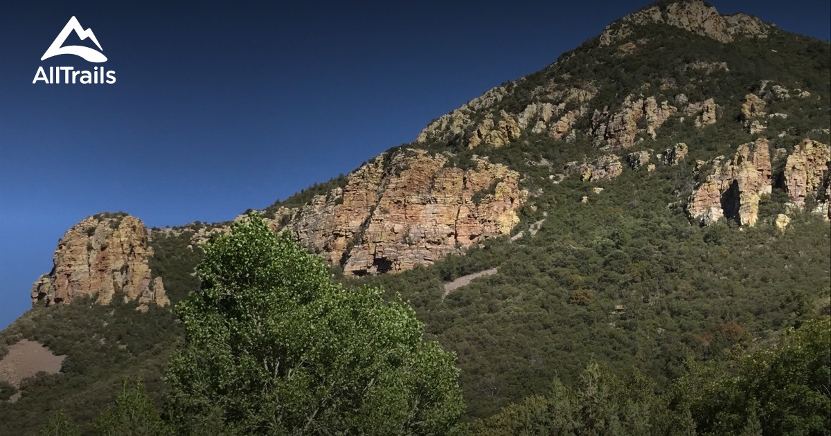 Best Trails in Ramsey Canyon Preserve - Arizona | AllTrails