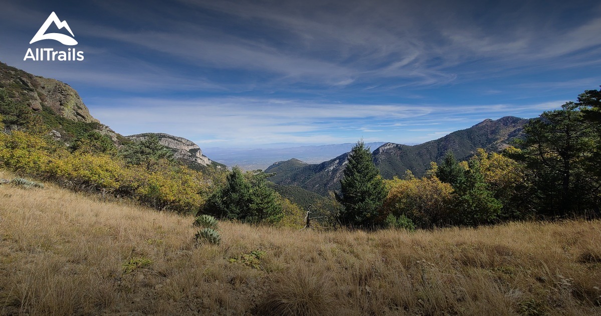 Best hikes and trails in Ramsey Canyon Preserve | AllTrails