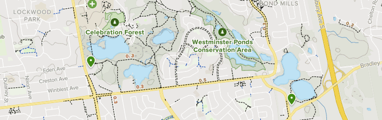 Best Hikes and Trails in Westminster Ponds Conservation Area | AllTrails