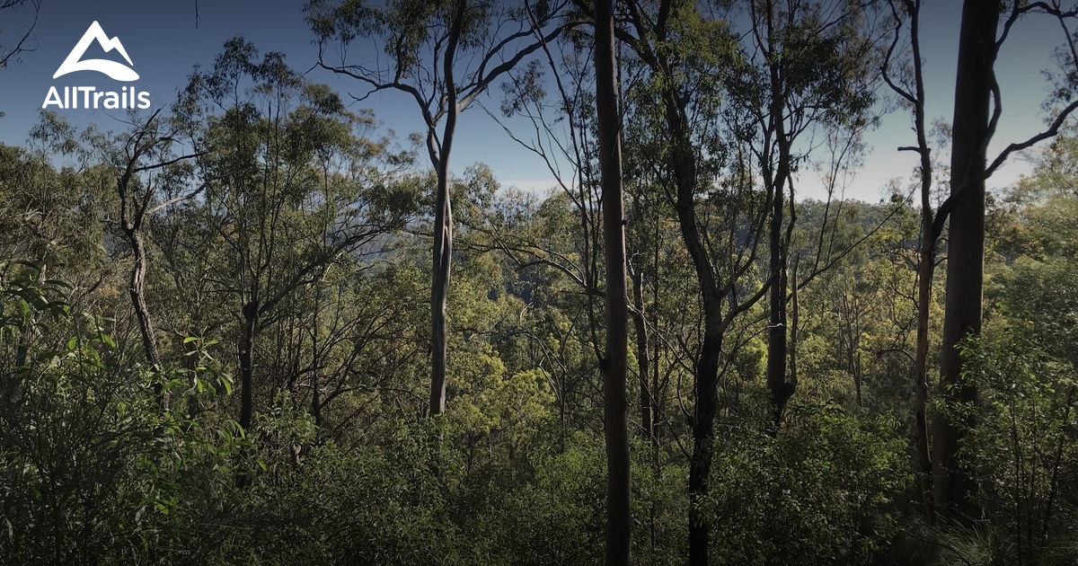 Best Trails in Spring Mountain Forest Park - Queensland, Australia ...