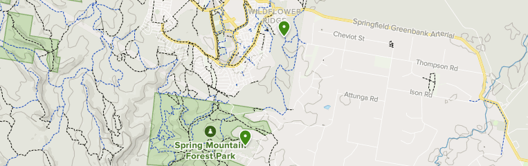 Best Trails in Spring Mountain Forest Park - Queensland, Australia ...