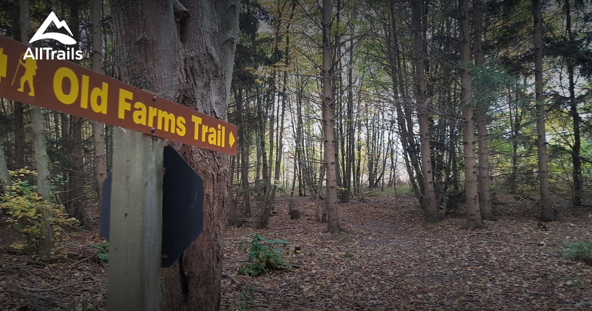 Best hikes and trails in Point Farms Provincial Park | AllTrails