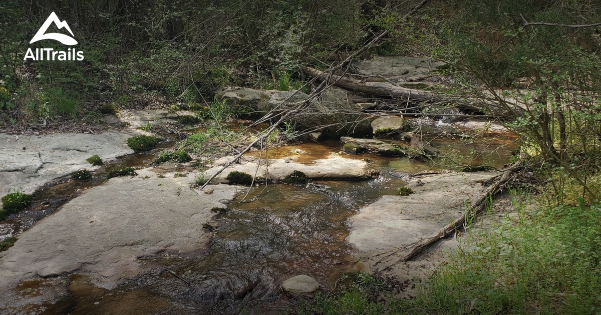 Best hikes and trails in Charlie Elliott Wildlife Center | AllTrails