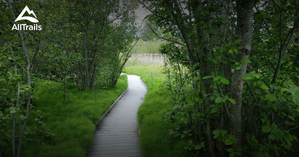 Best hikes and trails in Sisson Meadow (Siskiyou Land Trust) | AllTrails