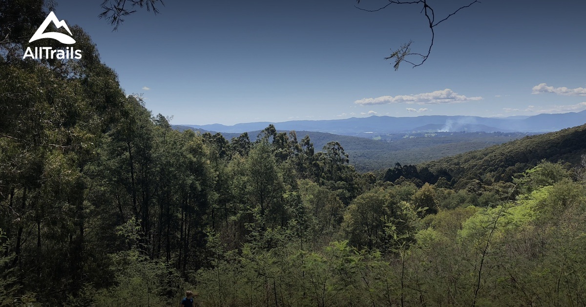 Best lake trails in R.J. Hamer Arboretum | AllTrails