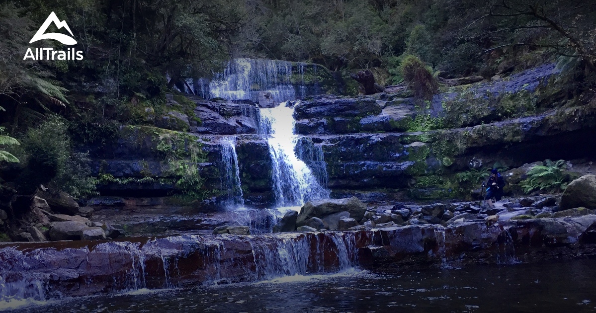 Best hikes and trails in Liffey Falls State Reserve | AllTrails