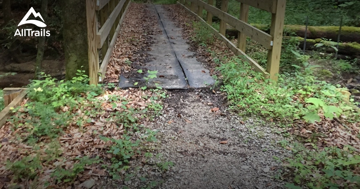 Best hikes and trails in Stampede Run Horse Camp | AllTrails