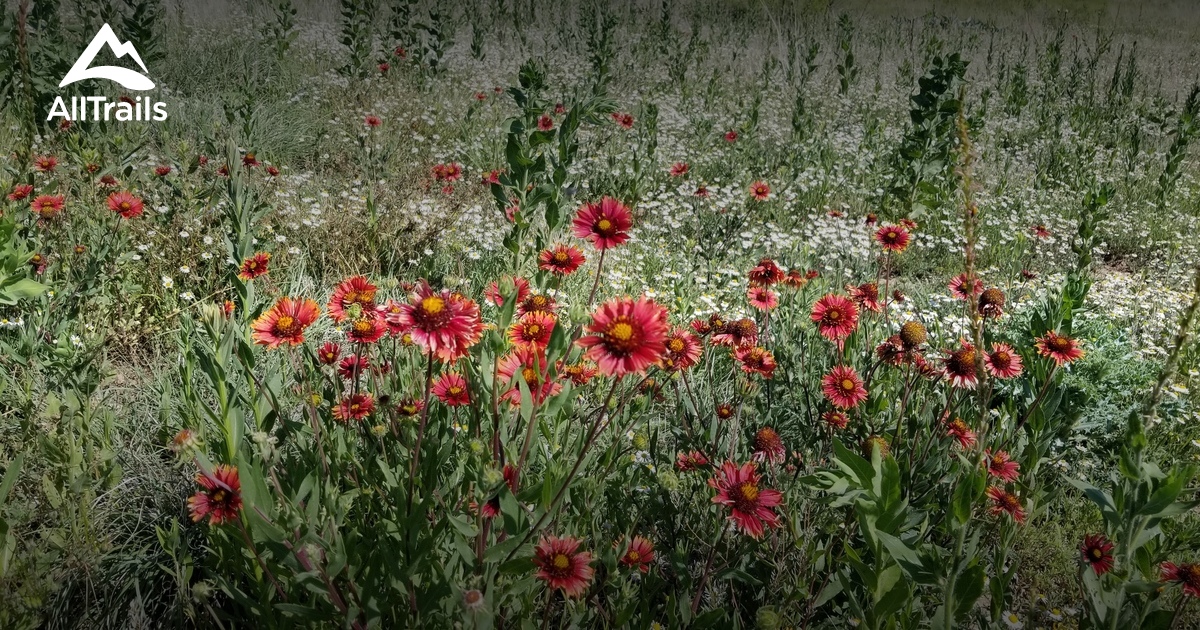 Best walking trails in Lubbock Lake National Historic Landmark | AllTrails