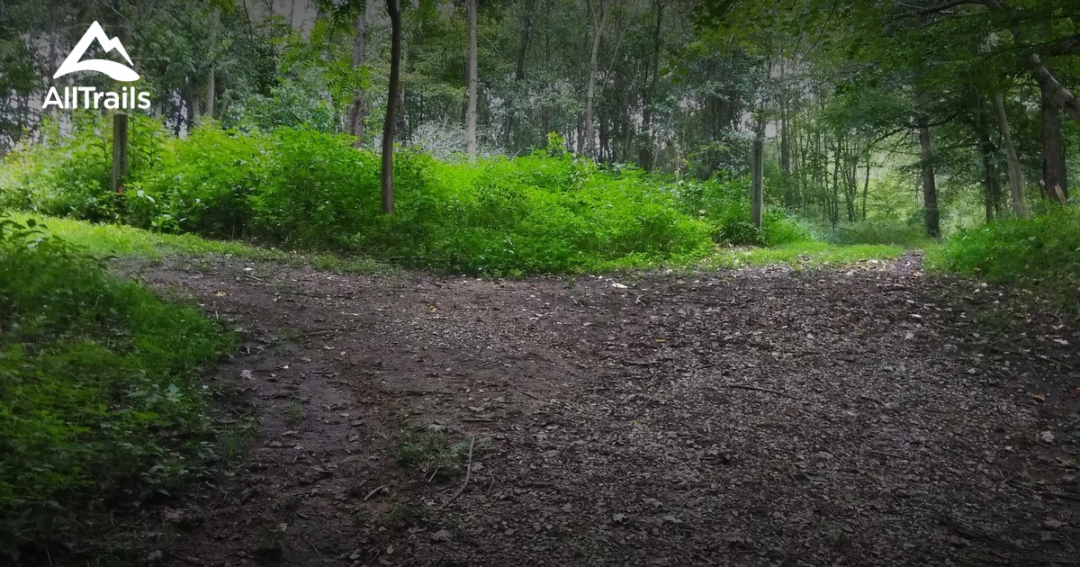 Best Trails in The Wilderness Center - Ohio | AllTrails