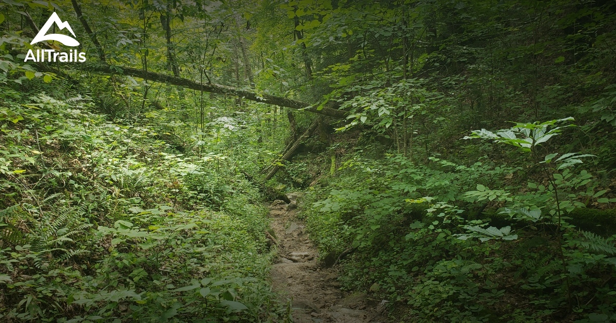 10 Best backpacking trails in Red River Gorge Geological Area | AllTrails