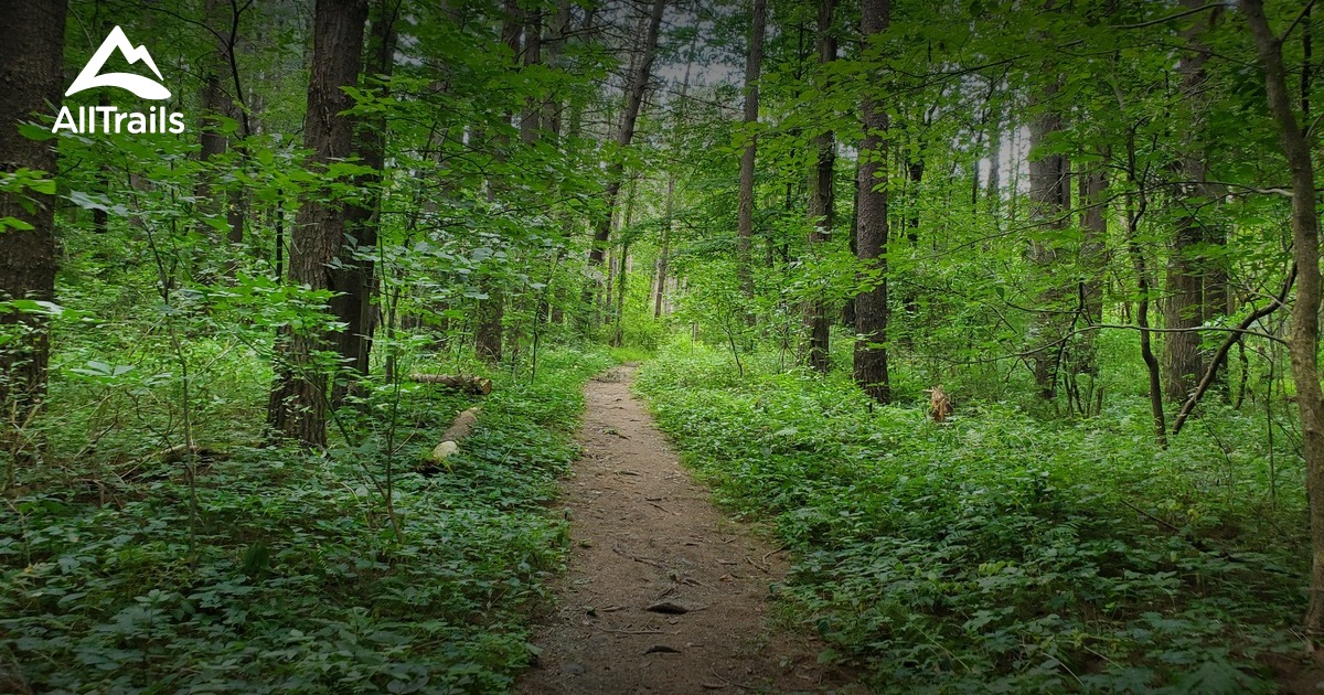 Best Hikes and Trails in Stinchfield Woods | AllTrails