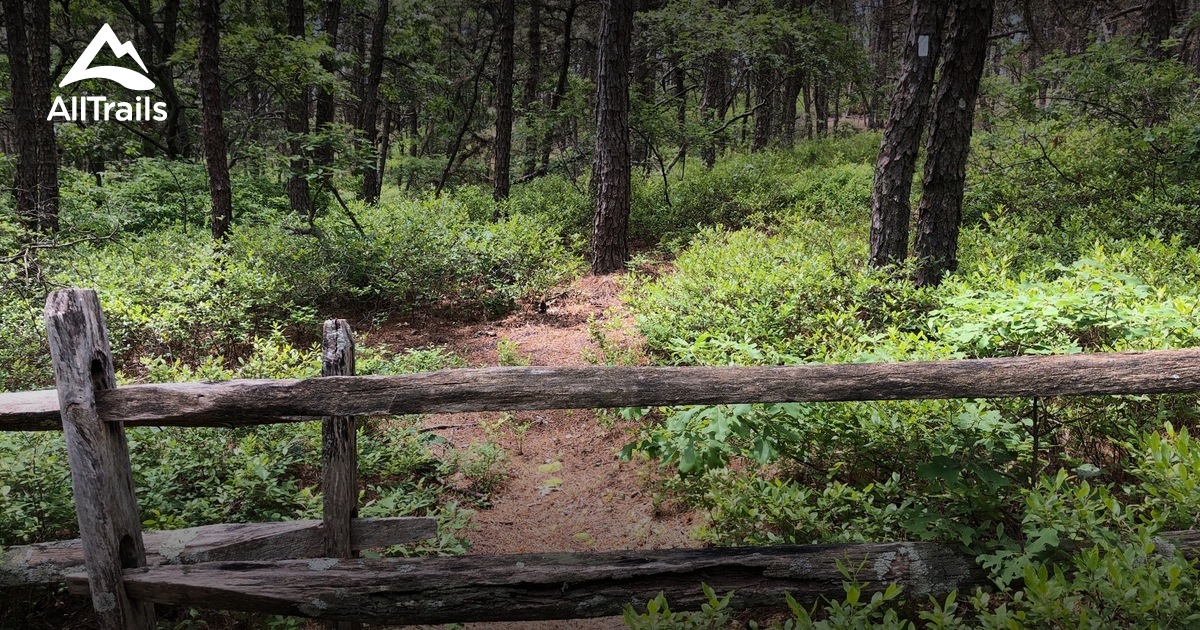 Best hikes and trails in David A. Sarnoff Preserve | AllTrails