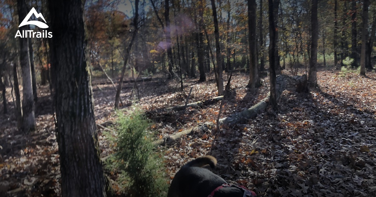 Best Hikes and Trails in Dellinger Park | AllTrails