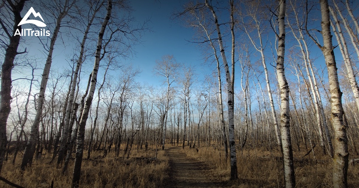 Best walking trails in Stephenfield Provincial Park | AllTrails