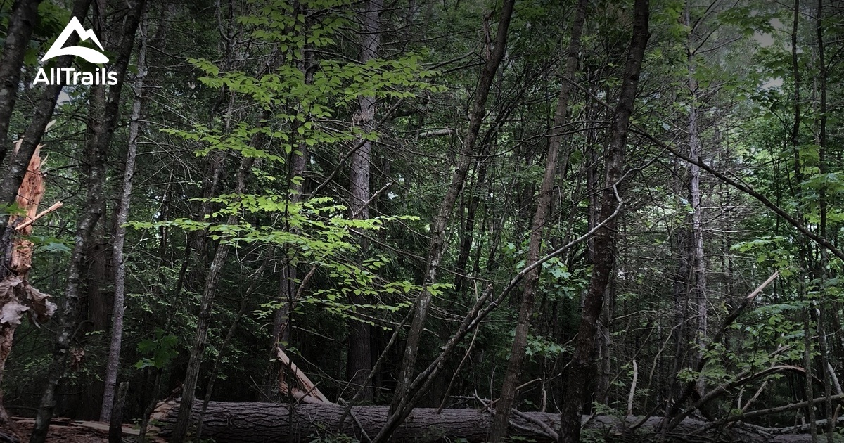 Robert Hills Conservation Area : les meilleures randonnées avec vue ...