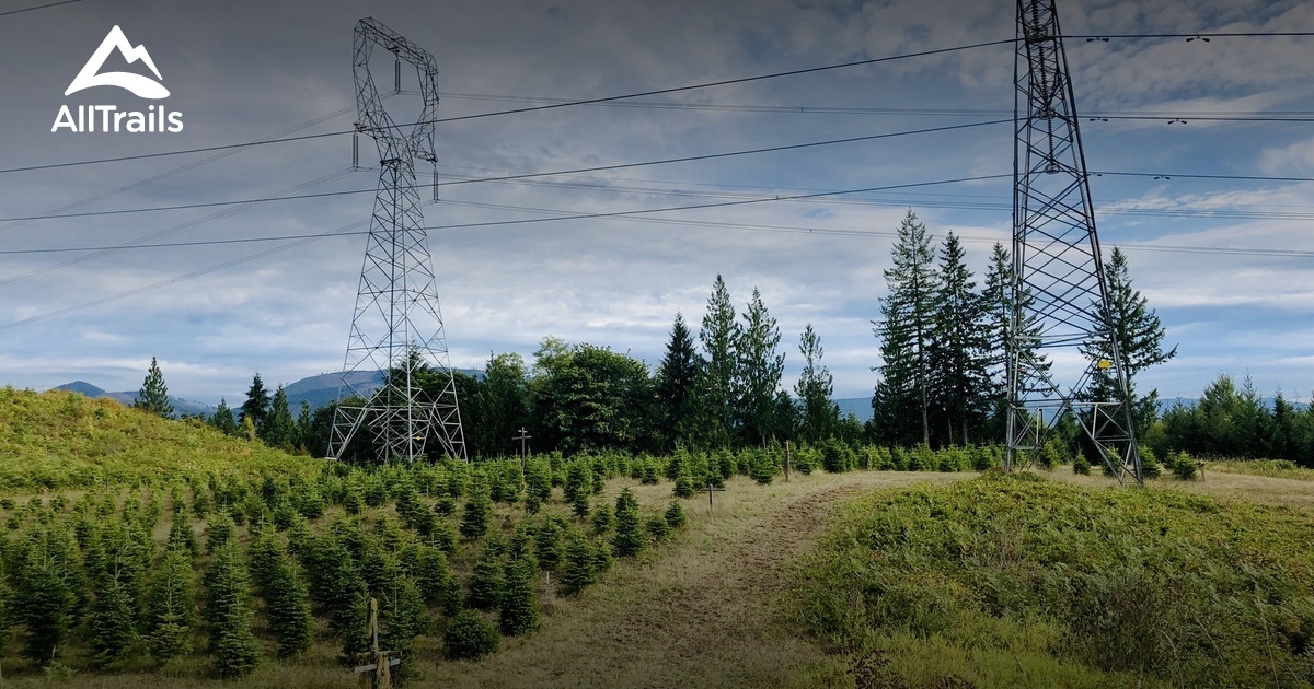 Best hikes and trails in Pilchuck Tree Farm | AllTrails